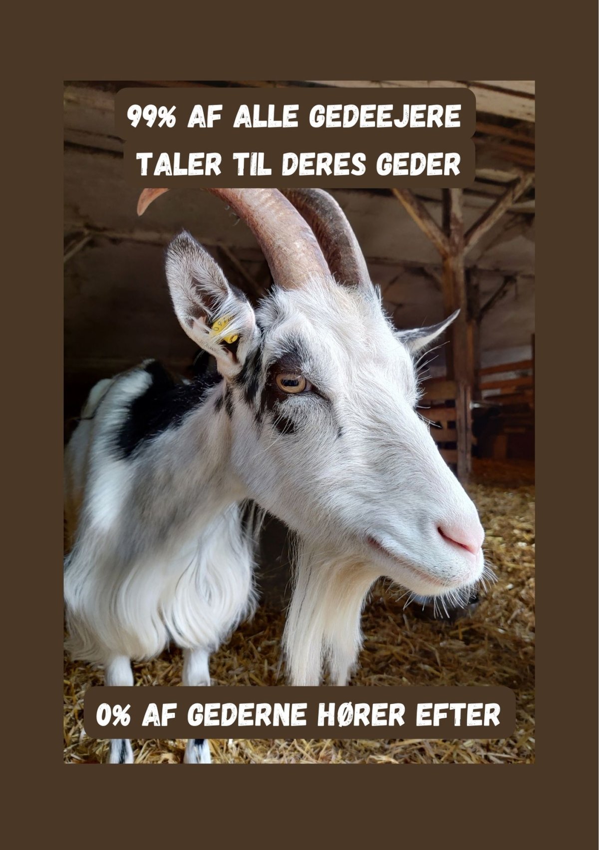 Skilt: 99% af alle gedeejere taler til deres geder (DK land)