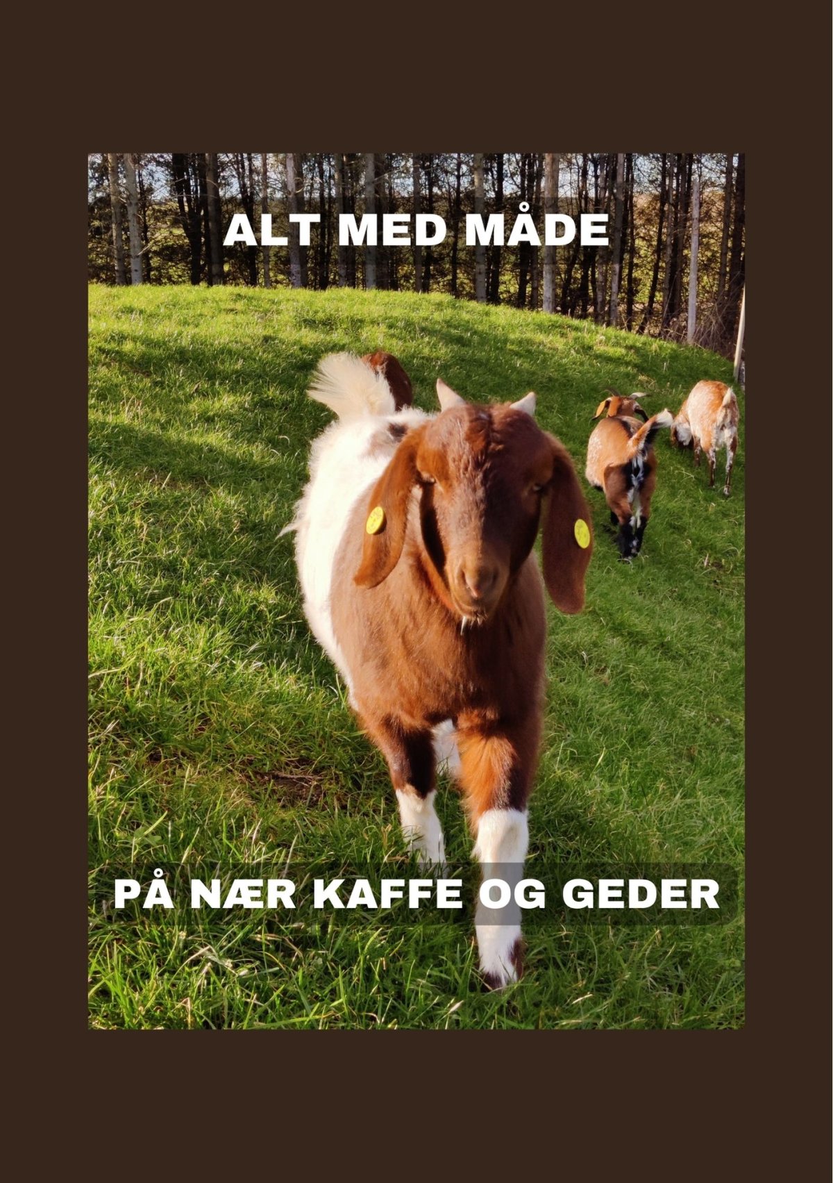 Alt med måde / Skilt med (nubiske) geder / H 21 cm . B 15 cm