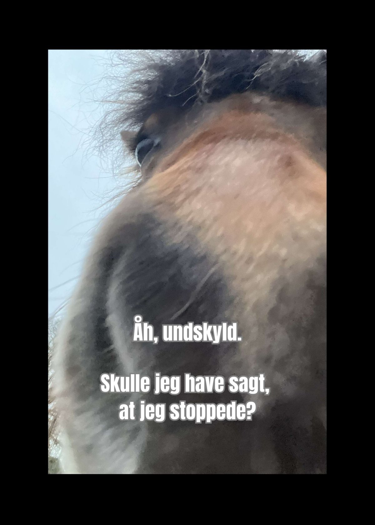 Skilt: Åh, undskyld (Hest) - Skilte - Farm og Natur