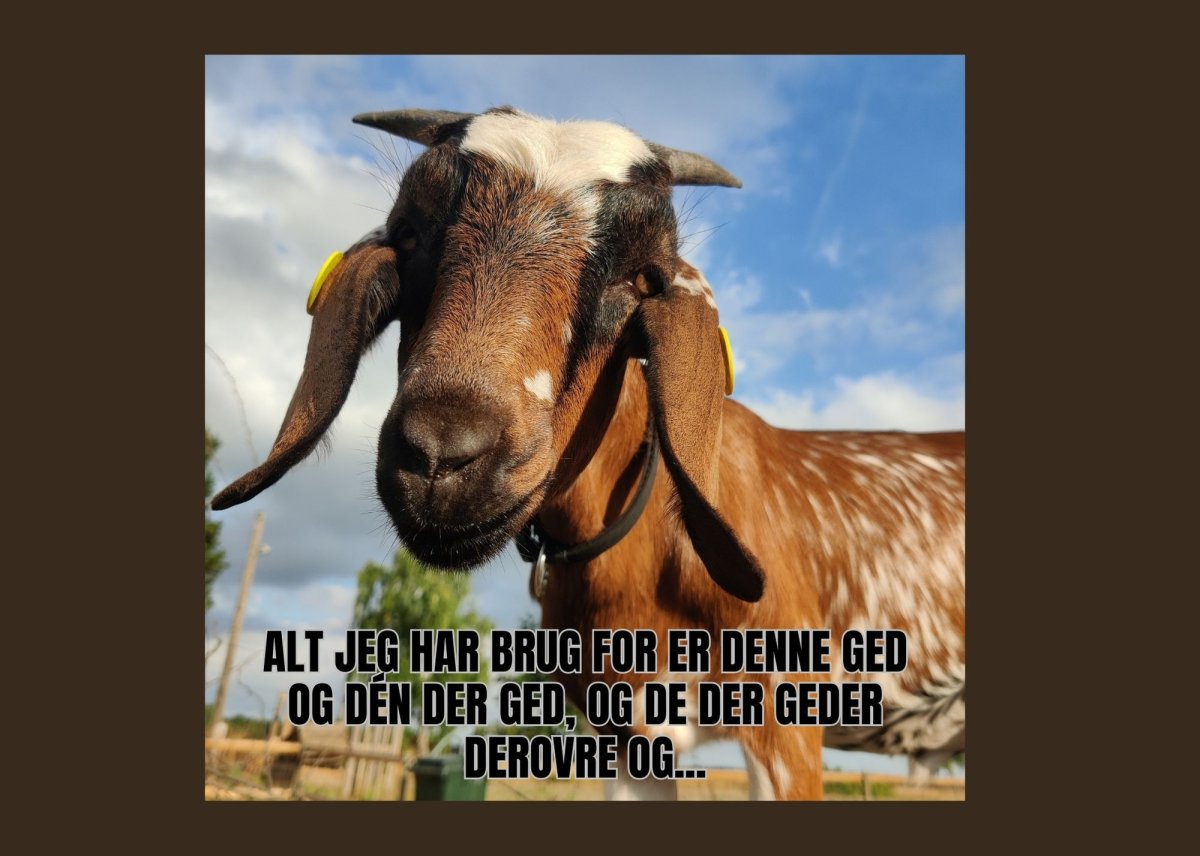 Skilt: Alt jeg har brug for (Med nubisk ged) - Skilte - Farm og Natur
